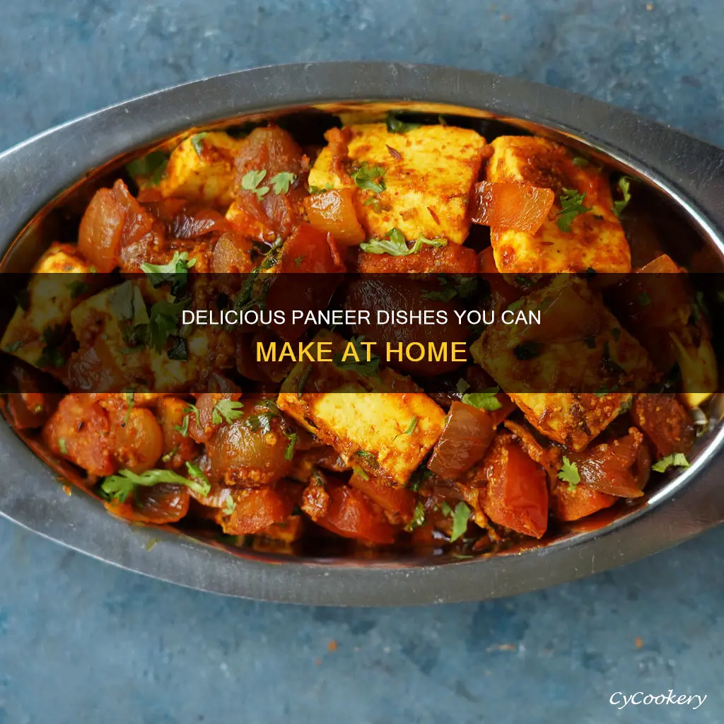 Delicious Paneer Dishes You Can Make At Home | CyCookery