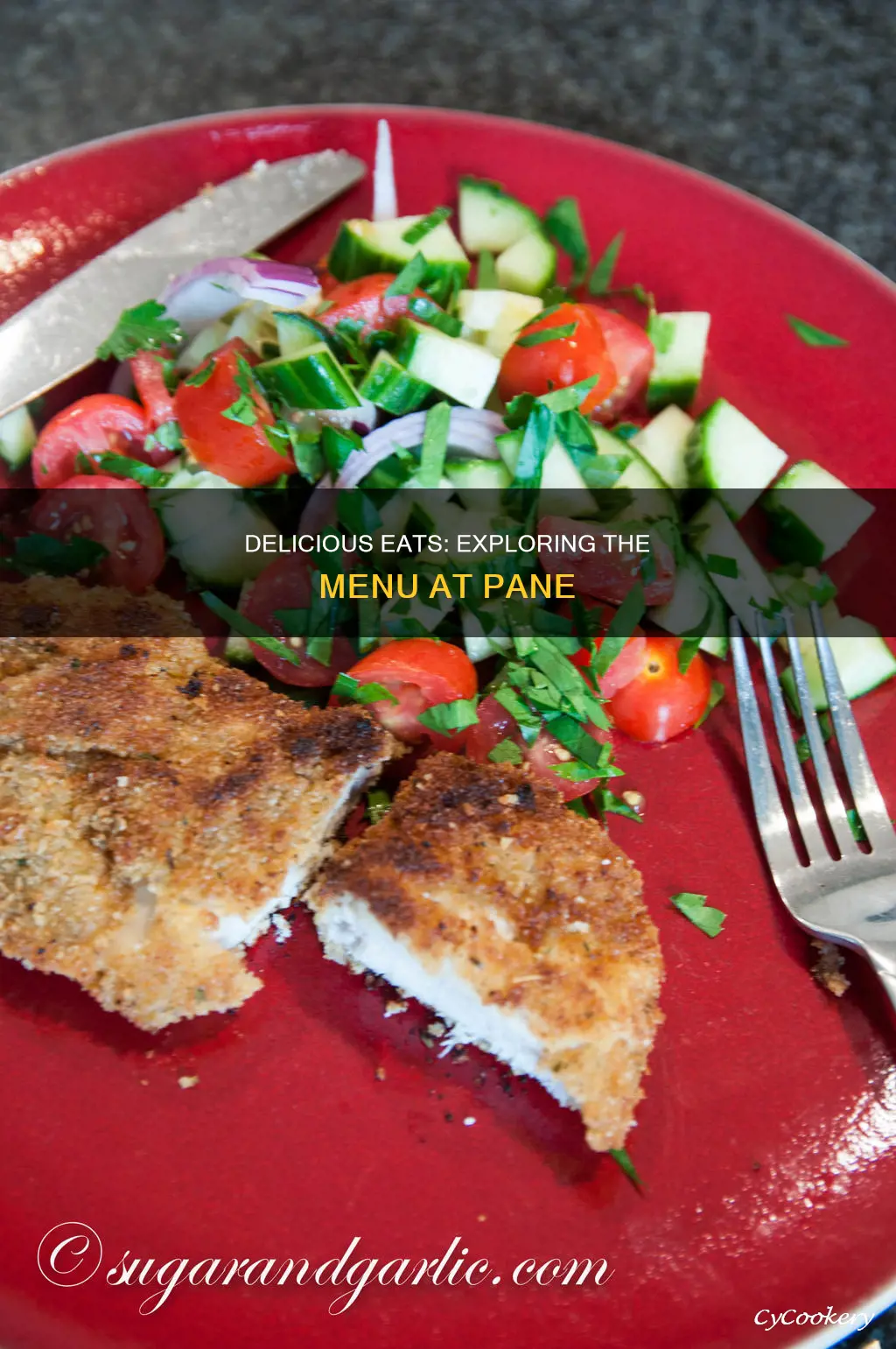 Delicious Eats: Exploring The Menu At Pane | CyCookery