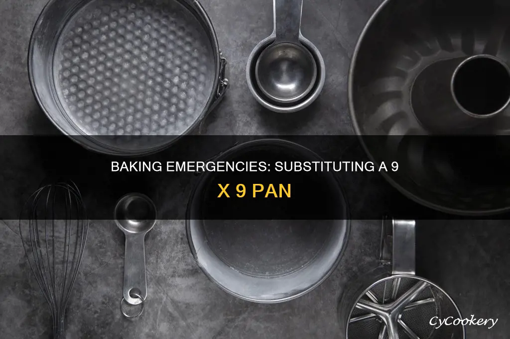 Baking Emergencies: Substituting A 9 X 9 Pan | CyCookery