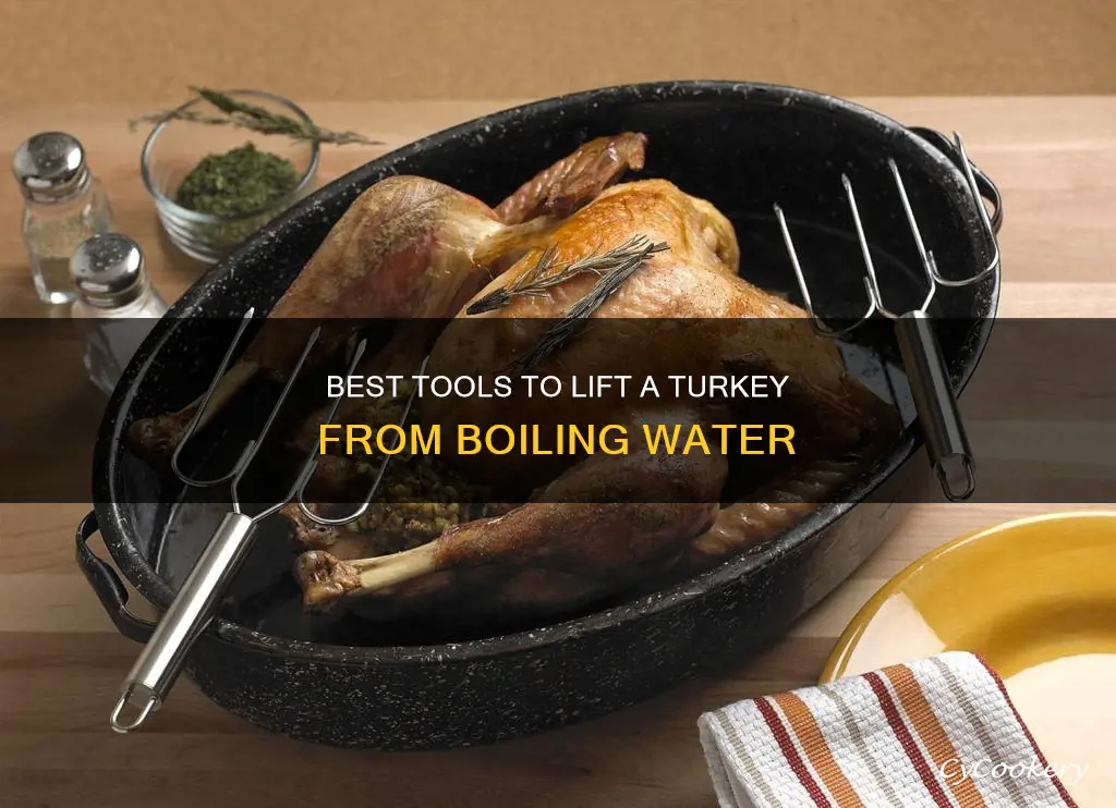 Best Tools To Lift A Turkey From Boiling Water | CyCookery