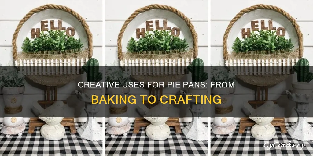 Creative Uses For Pie Pans: From Baking To Crafting | CyCookery