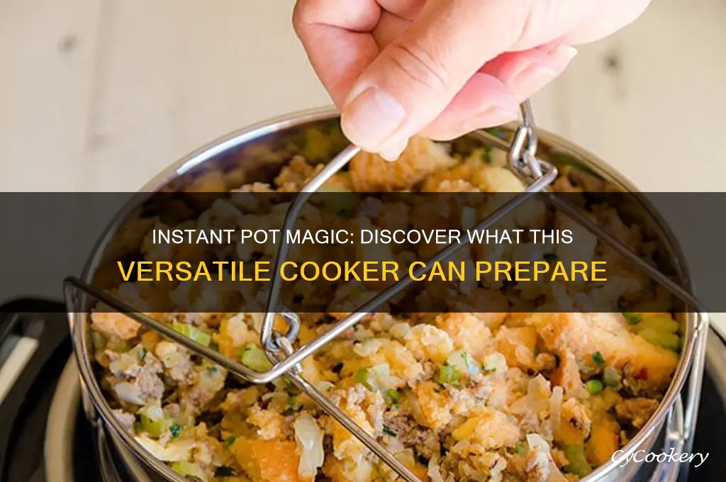 Instant Pot Magic: Discover What This Versatile Cooker Can Prepare ...