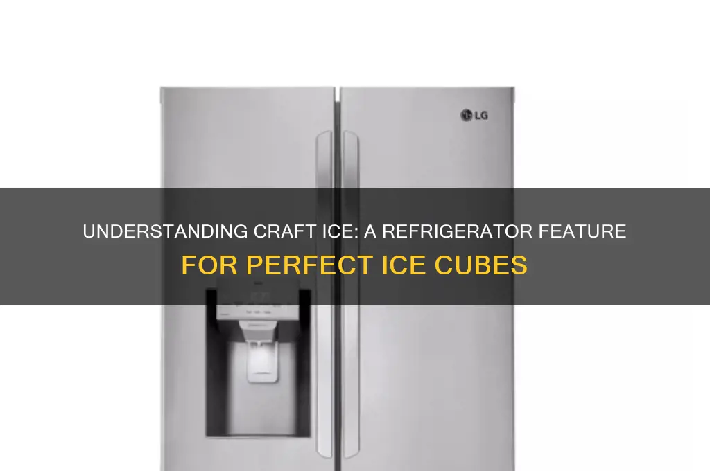 Understanding Craft Ice: A Refrigerator Feature For Perfect Ice Cubes ...