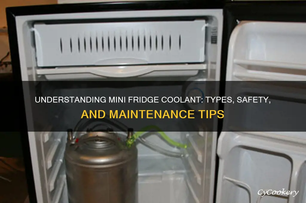 Understanding Mini Fridge Coolant: Types, Safety, And Maintenance Tips ...