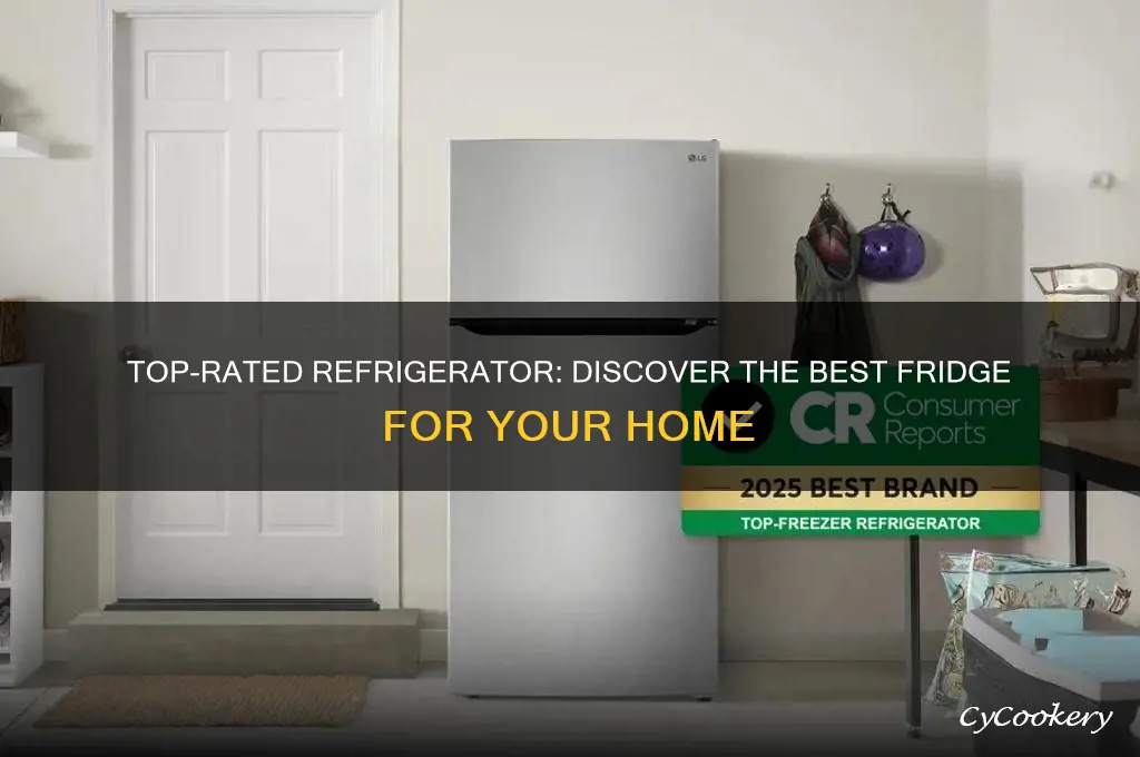 Top-Rated Refrigerator: Discover The Best Fridge For Your Home | CyCookery