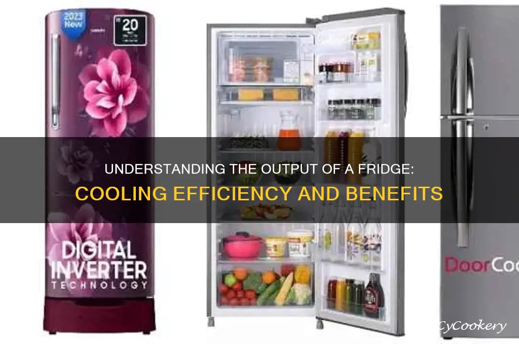 Understanding The Output Of A Fridge: Cooling Efficiency And Benefits ...