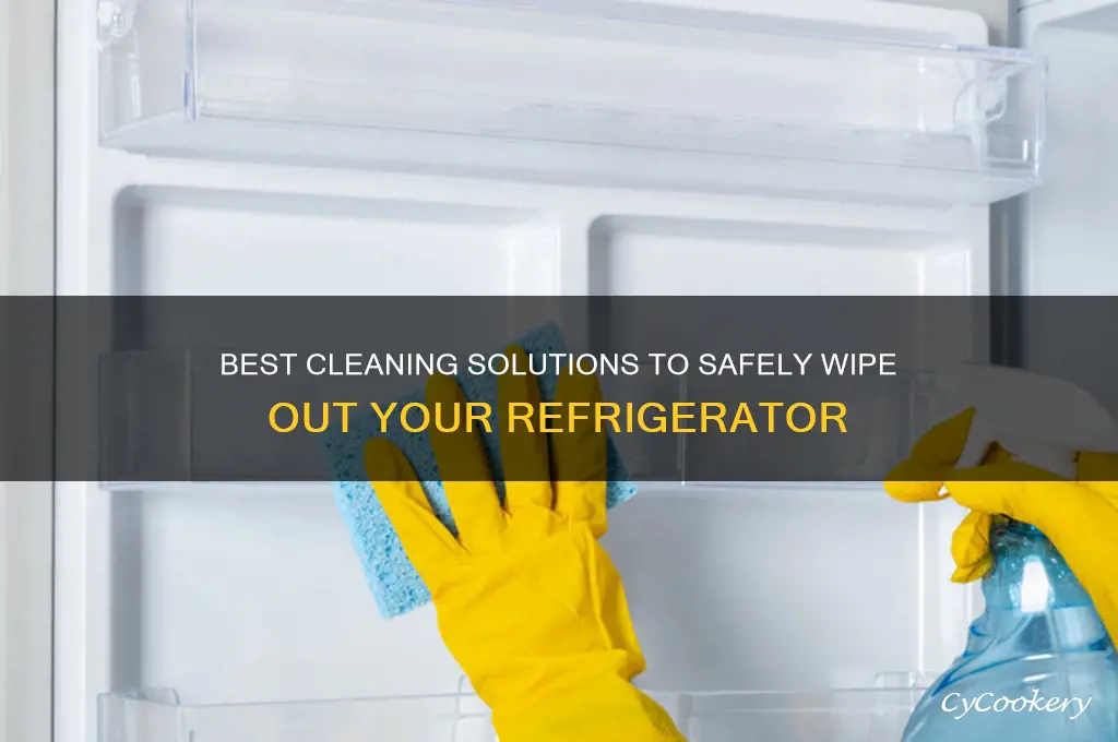 Best Cleaning Solutions To Safely Wipe Out Your Refrigerator | CyCookery