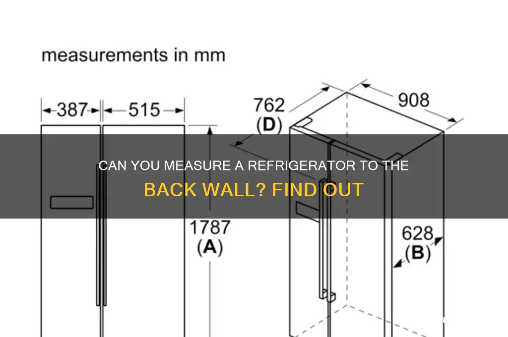 Can You Measure A Refrigerator To The Back Wall? Find Out | CyCookery