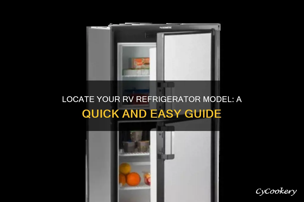 Locate Your Rv Refrigerator Model: A Quick And Easy Guide | CyCookery