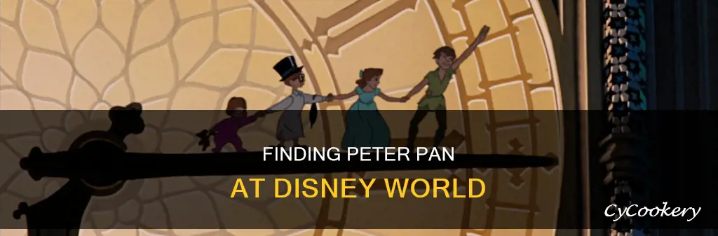 Finding Peter Pan At Disney World | CyCookery