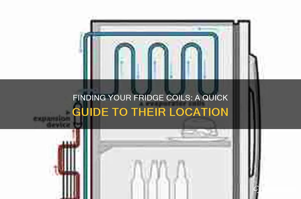 Finding Your Fridge Coils: A Quick Guide To Their Location | CyCookery