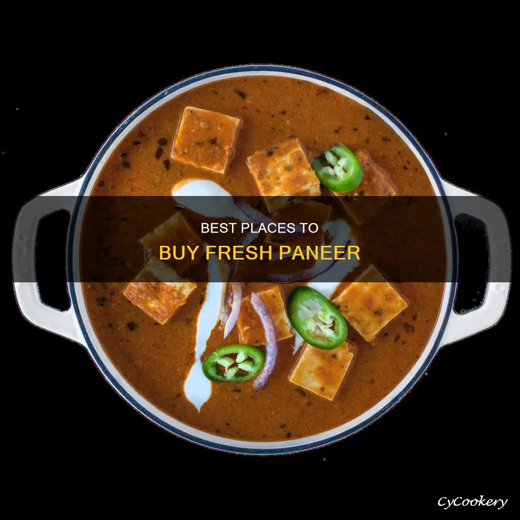 Best Places To Buy Fresh Paneer | CyCookery