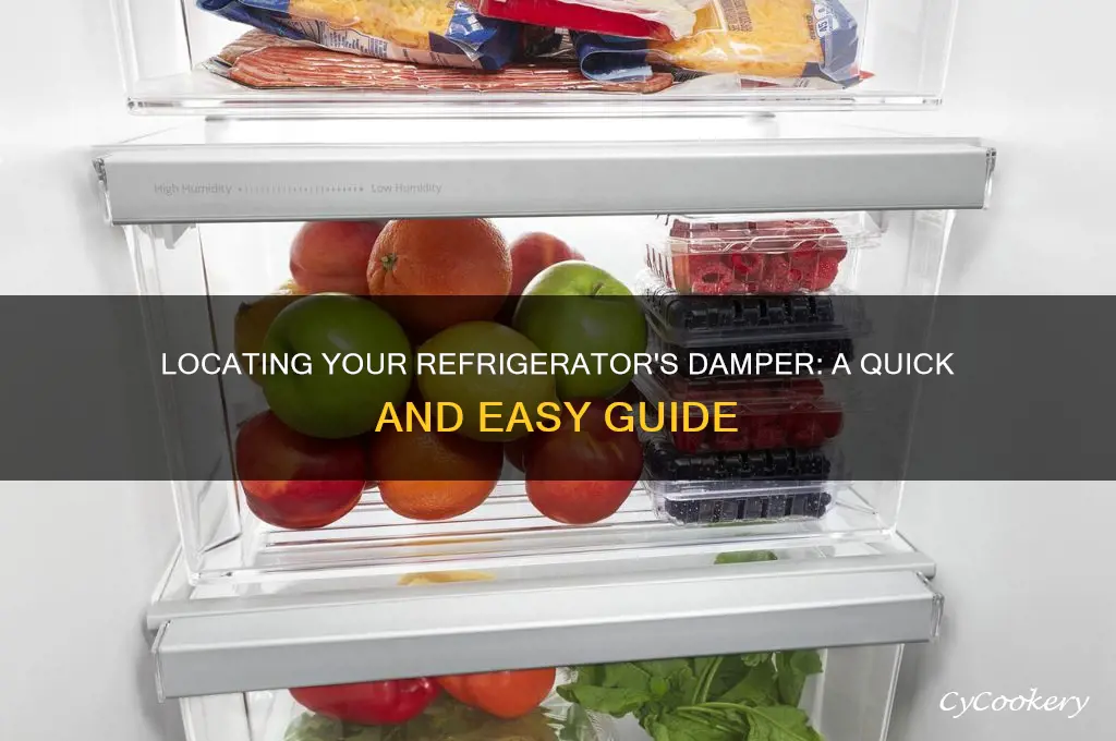 Locating Your Refrigerator's Damper: A Quick And Easy Guide | CyCookery