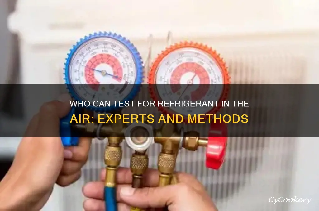 Who Can Test For Refrigerant In The Air: Experts And Methods | CyCookery