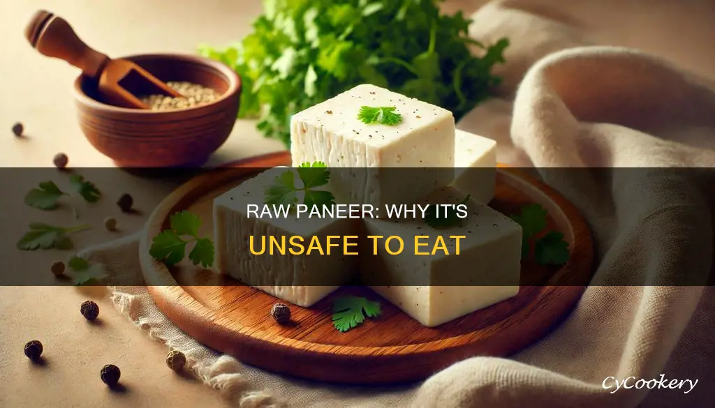 Raw Paneer: Why It's Unsafe To Eat | CyCookery