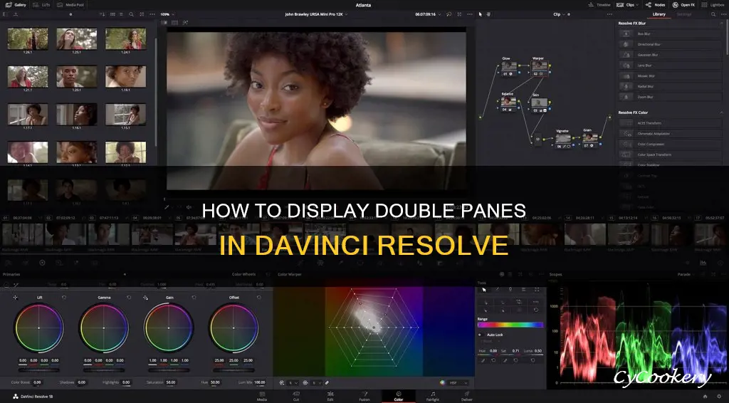 How To Display Double Panes In Davinci Resolve | CyCookery