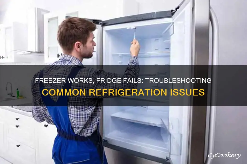 Freezer Works, Fridge Fails: Troubleshooting Common Refrigeration ...