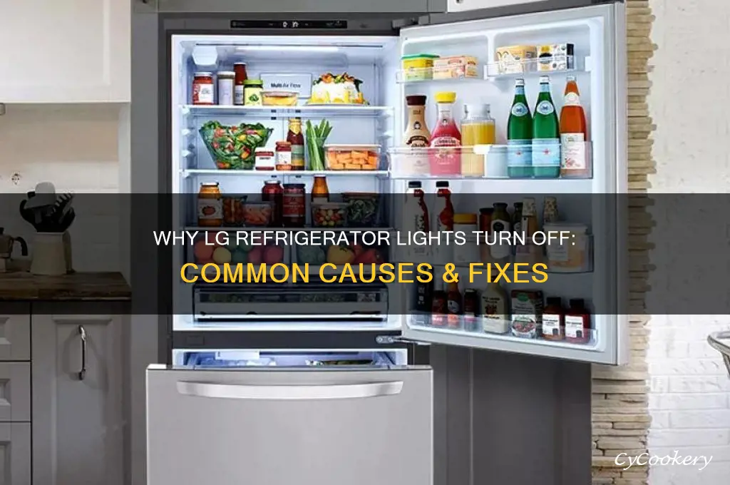 Why Lg Refrigerator Lights Turn Off: Common Causes & Fixes | CyCookery