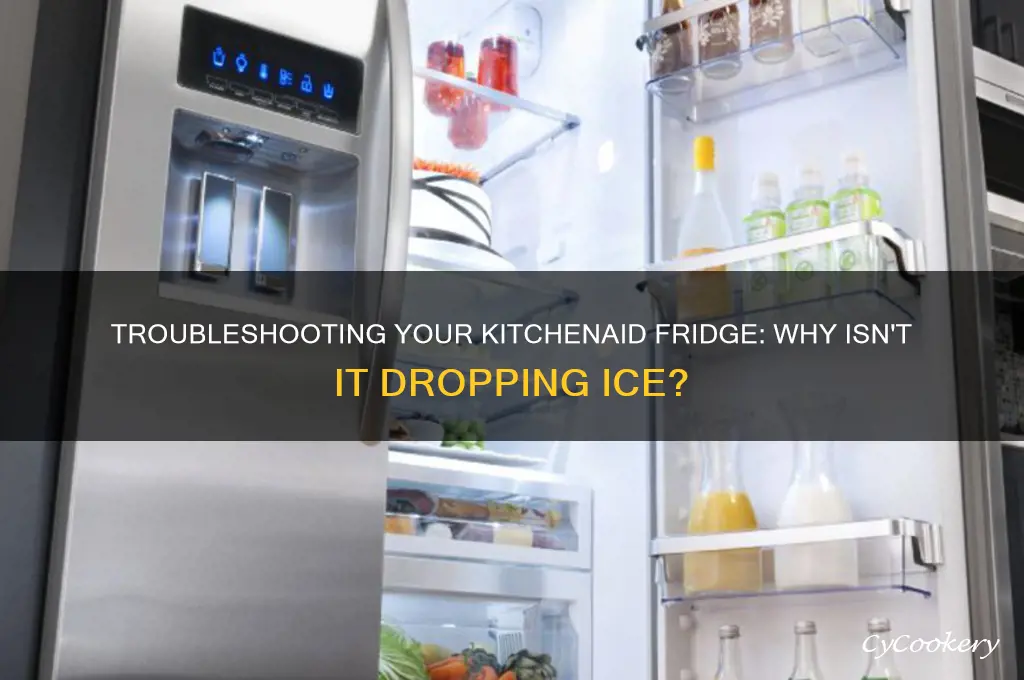 Troubleshooting Your Kitchenaid Fridge: Why Isn't It Dropping Ice ...