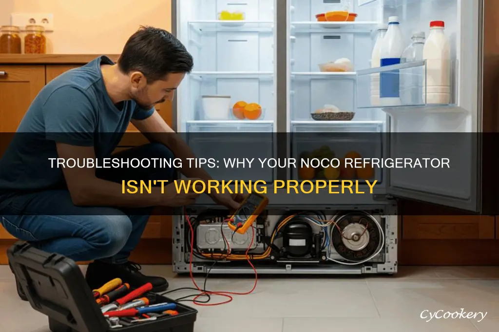 Troubleshooting Tips: Why Your Noco Refrigerator Isn't Working Properly ...