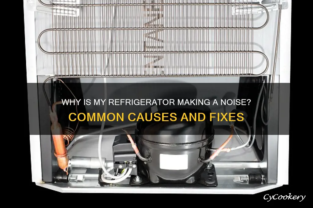 Why Is My Refrigerator Making A Noise? Common Causes And Fixes | CyCookery