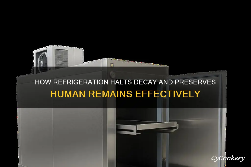 How Refrigeration Halts Decay And Preserves Human Remains Effectively ...