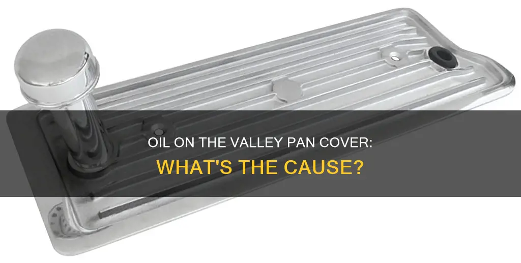 Oil On The Valley Pan Cover: What's The Cause? | CyCookery